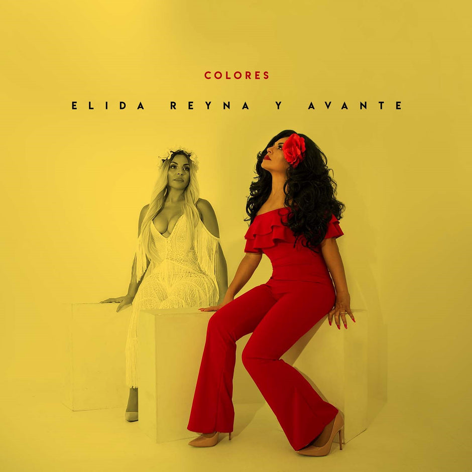 All Music – Freddie Records Store